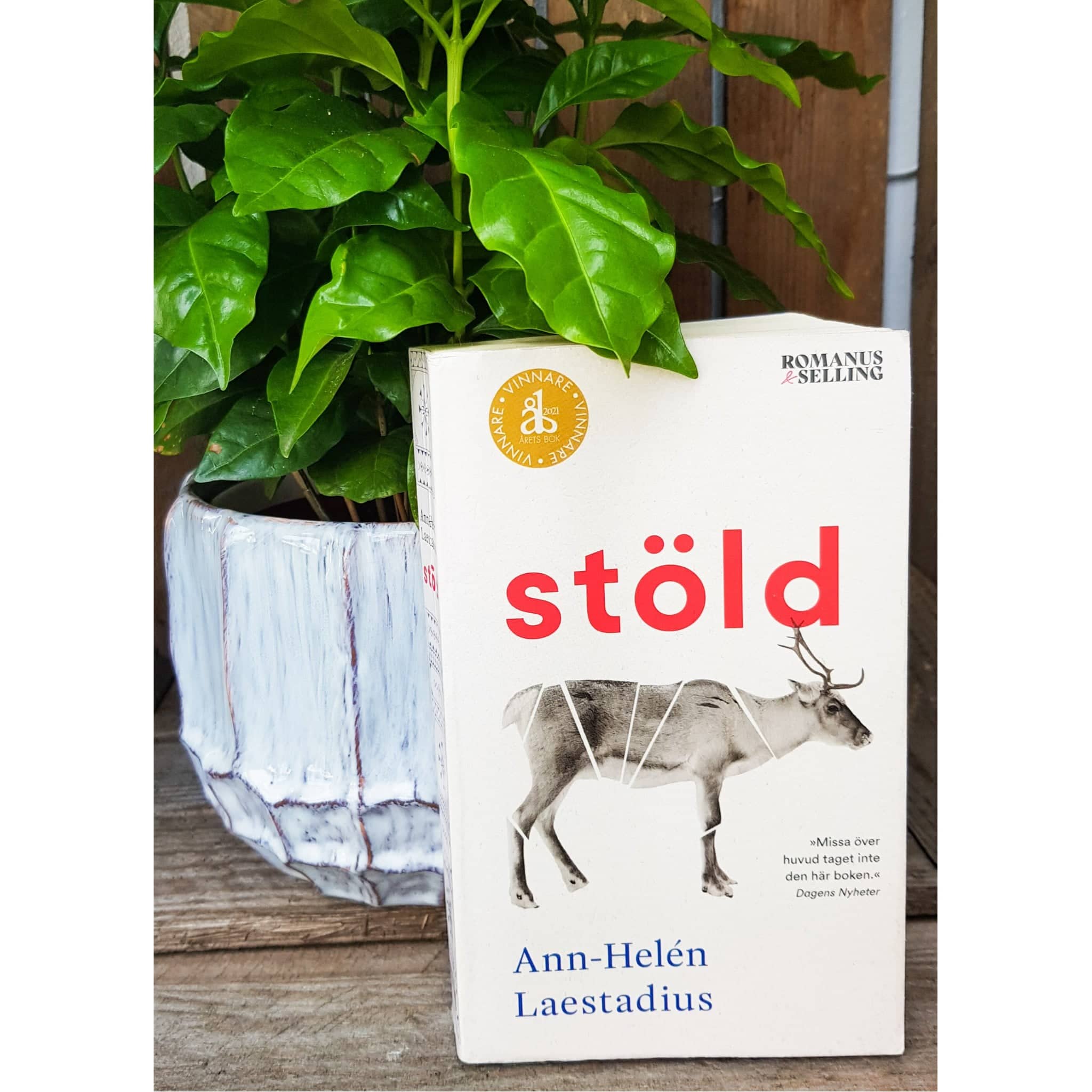 Ann-Helén Laestadius: Stöld - Punktslut